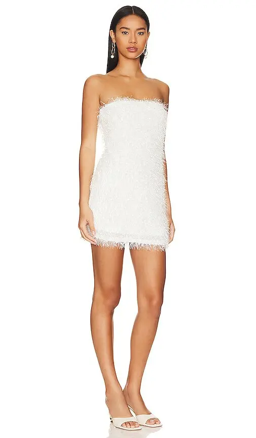 Show Me Your Mumu Alex Tube Dress