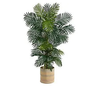 NEARLY NATURAL 6.5' Goldencane Artificial Palm Tree Planter By - One-color