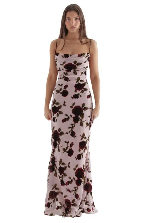 House Of Cb Serena Floral Velvet Burnout Maxi Dress - Light Pink |  Editorialist