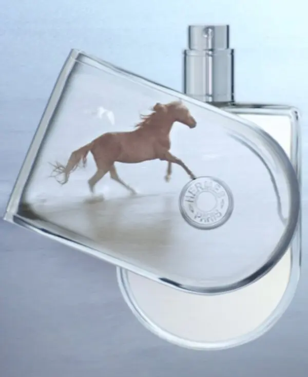 Hermès Voyage D' Eau De Toilette Spray