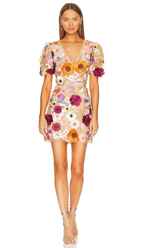 ELLIATT Rosalind Mini Dress - Multi