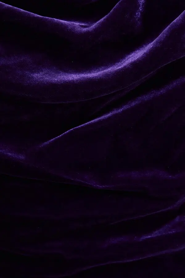 RASARIO Draped Velvet Midi Dress