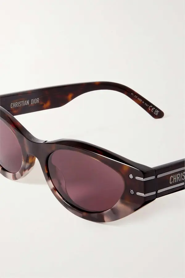 Dior Diorsignature B5i Oval-frame Sunglasses