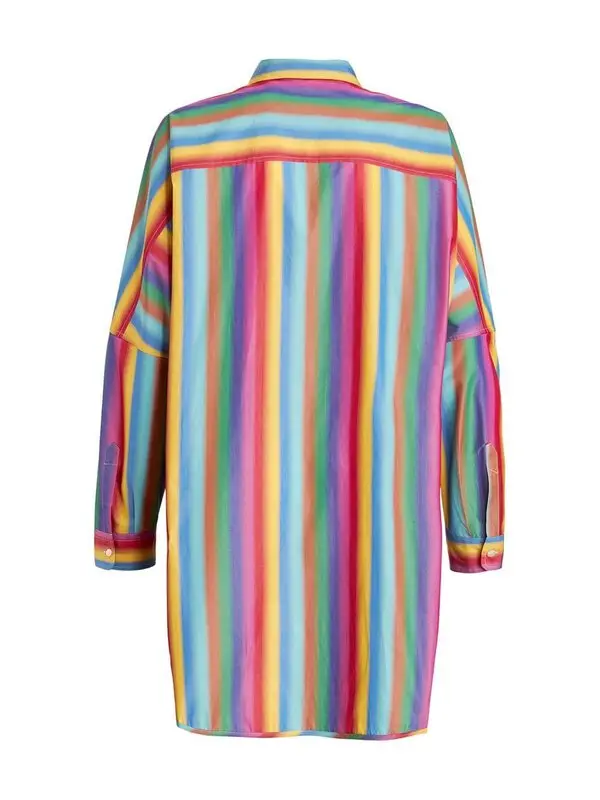 Etro Cotton Stripe-pattern Shirt - Multicolour