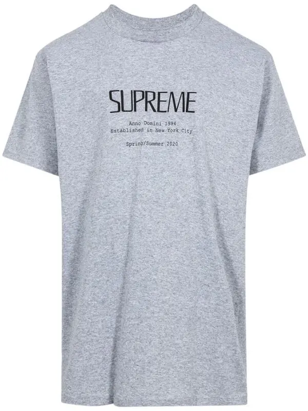 Supreme Anno Domini Cotton T-Shirt - Grey | Editorialist
