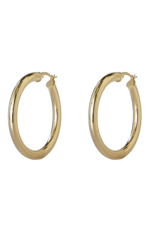 Argento Vivo Tubular Hoop Earrings - Gold