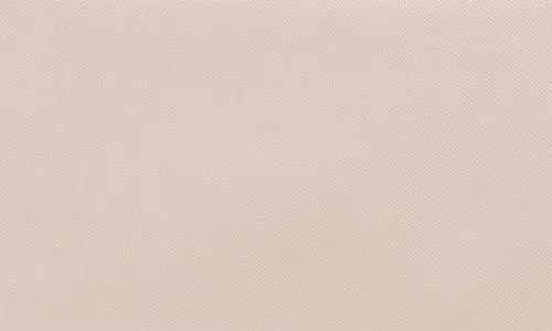 Longchamp Le Pliage Top Handle Bag