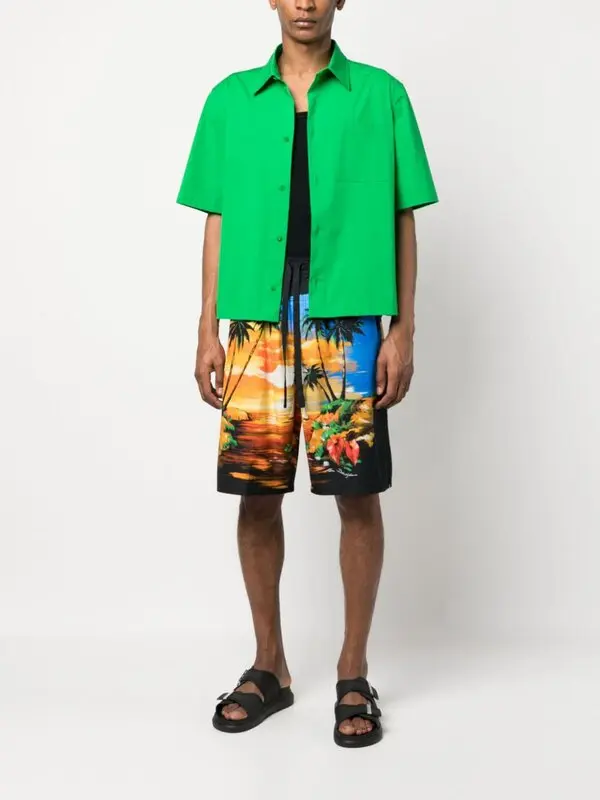 Dolce & Gabbana Palm Tree-print Cotton Shorts - Blue