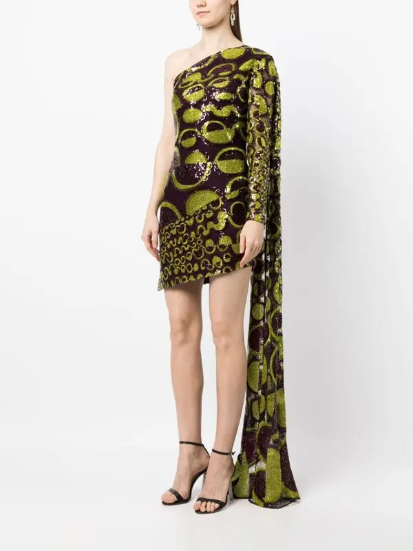 Elie Saab One-shoulder Embroidered Tulle Minidress