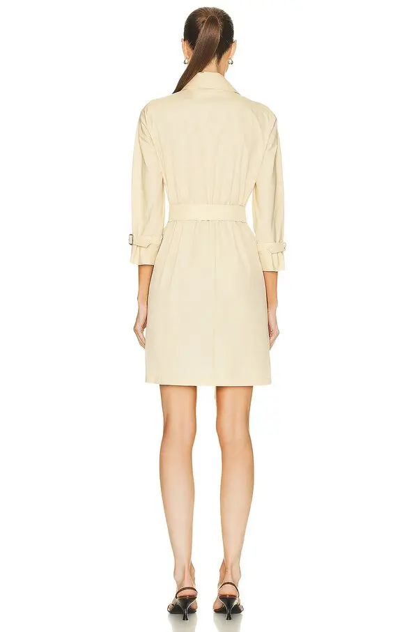 Max Mara Saio Dress In Beige