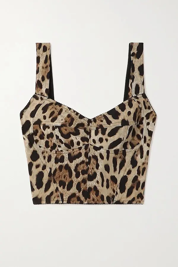 Dolce & Gabbana Leopard-print Bustier Top - Animal Print