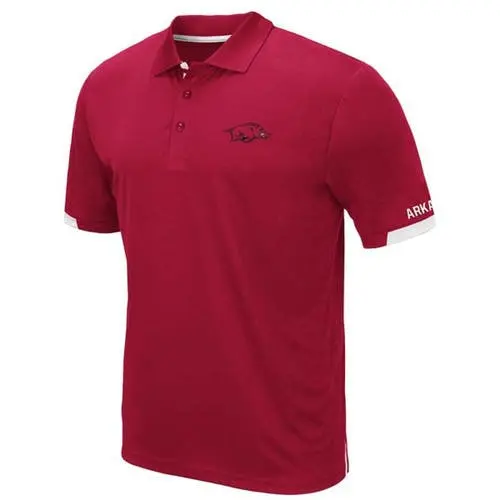 COLOSSEUM Arkansas Razorbacks Big & Tall Santry Polo