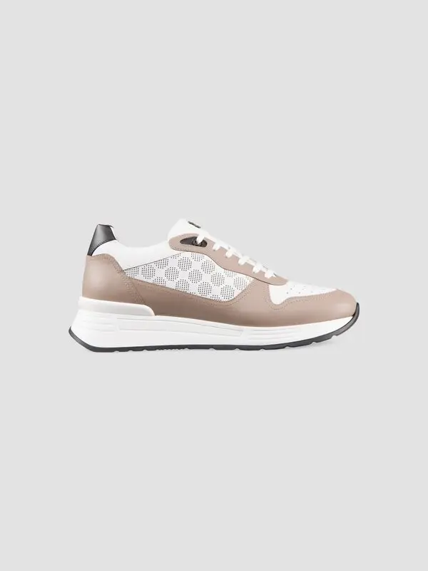 Stefano Ricci Calfskin Leather Sneakers - Brown