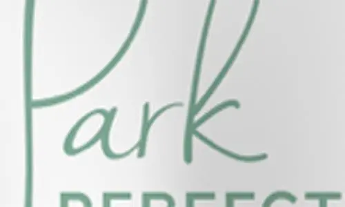 PARK PERFECTION Tinted Pore Minimizing Perfector