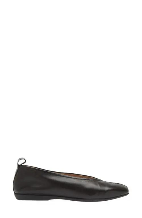 WONDERS Ballet Flat - Sauvage Black