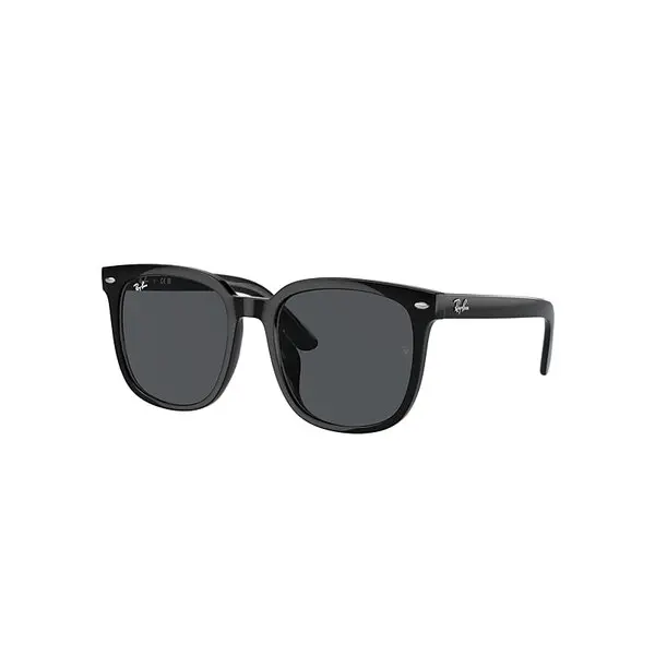 Ray-ban Round Frame Sunglasses - Black