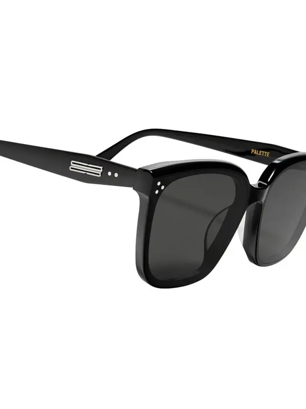 GENTLE MONSTER Palette 01 Tinted Sunglasses - Black
