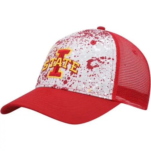 COLOSSEUM Cardinal Iowa State Cyclones Love Fern Trucker Snapback Hat - Gray
