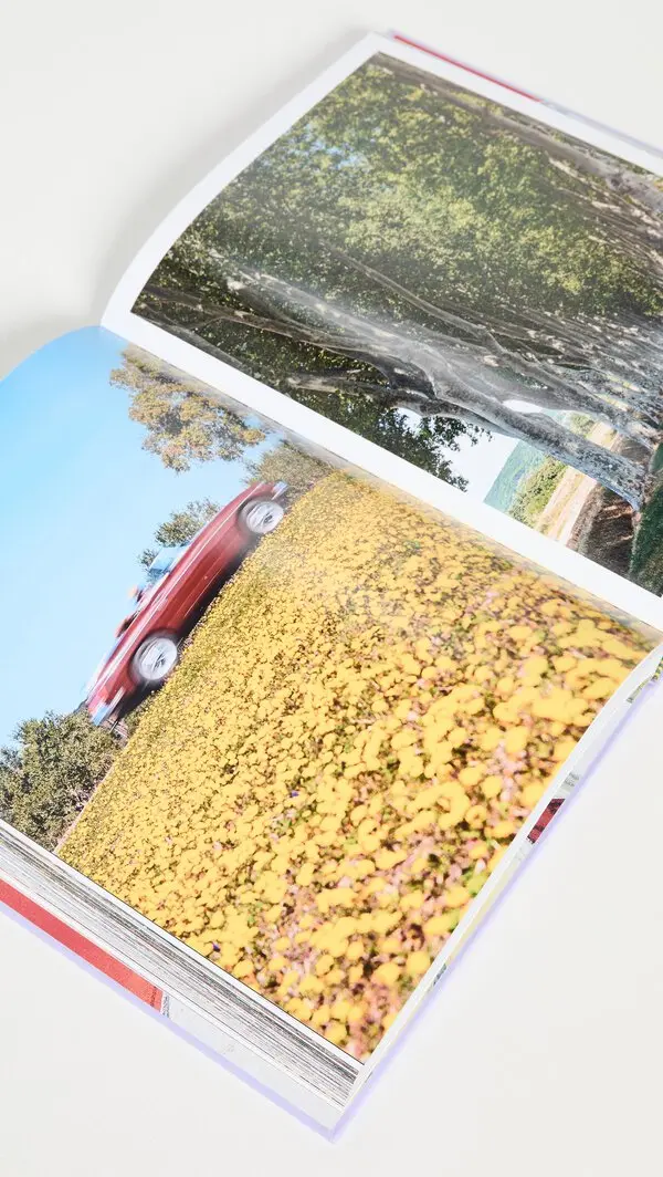 Assouline Provence Glory Book - Purple