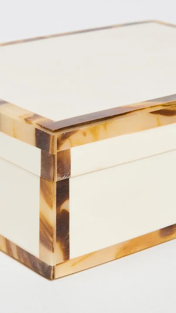TIZO DESIGN Resin With Faux Horn Border Box