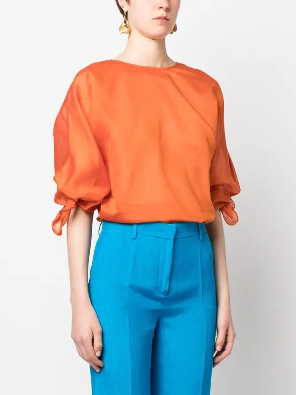 Alberta Ferretti V-back Long-sleeve Blouse