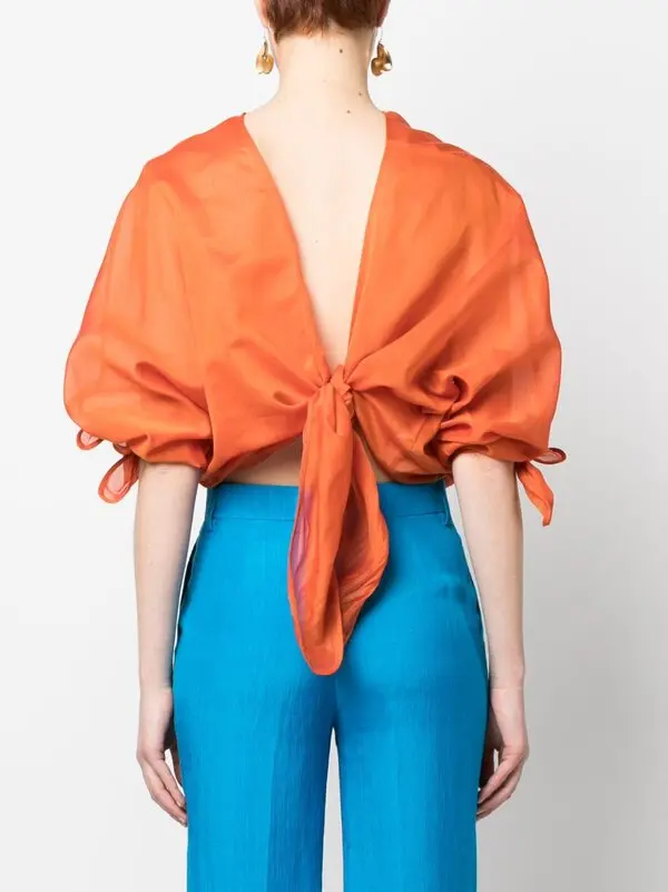 Alberta Ferretti V-back Long-sleeve Blouse