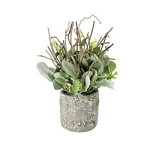 PULEO INTERNATIONAL Puleo 11' Lambs Ear Potted Plant With Twig & Gr Eenery Leaves - One-color