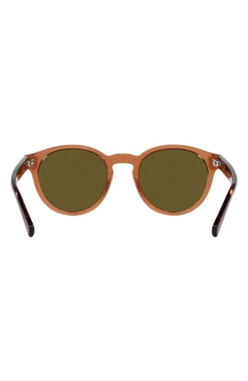 Polo Ralph Lauren 51mm Round Sunglasses - Brown