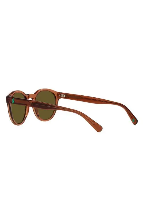 Polo Ralph Lauren 51mm Round Sunglasses - Brown