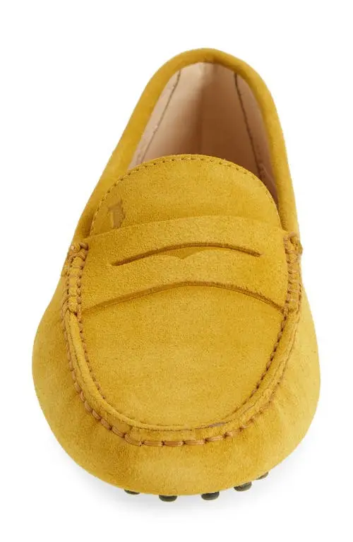 TOD'S Gommino Suede Driving Loafer