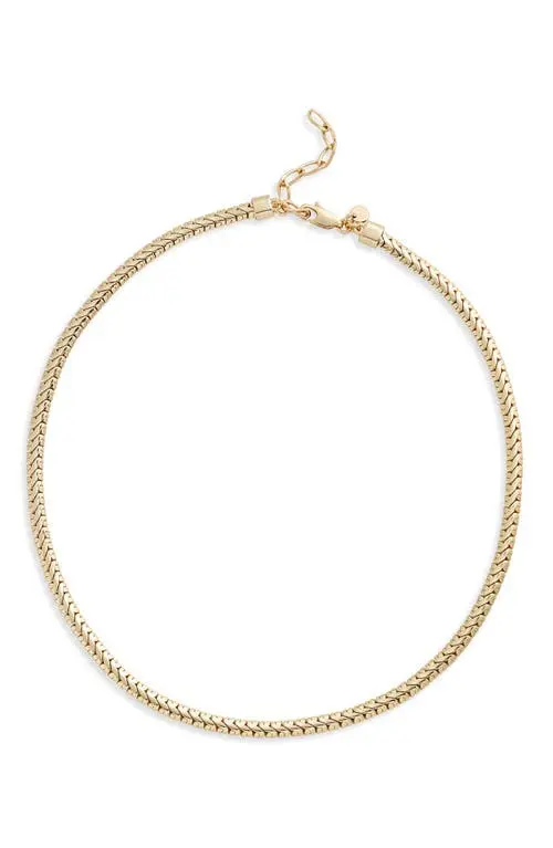 Nordstrom Serpentine Chain Necklace - Gold