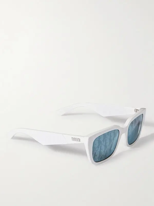 Dior B27 S2i D-frame Sunglasses