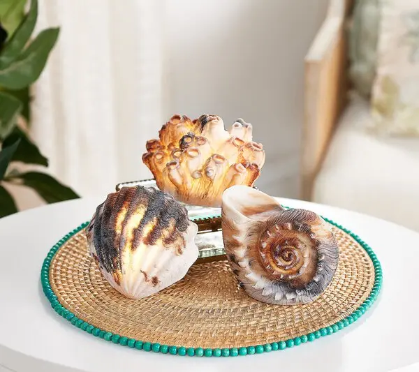 BARBARA KING Set Of 3 Mini Sandstone Seashells Collection - One-color