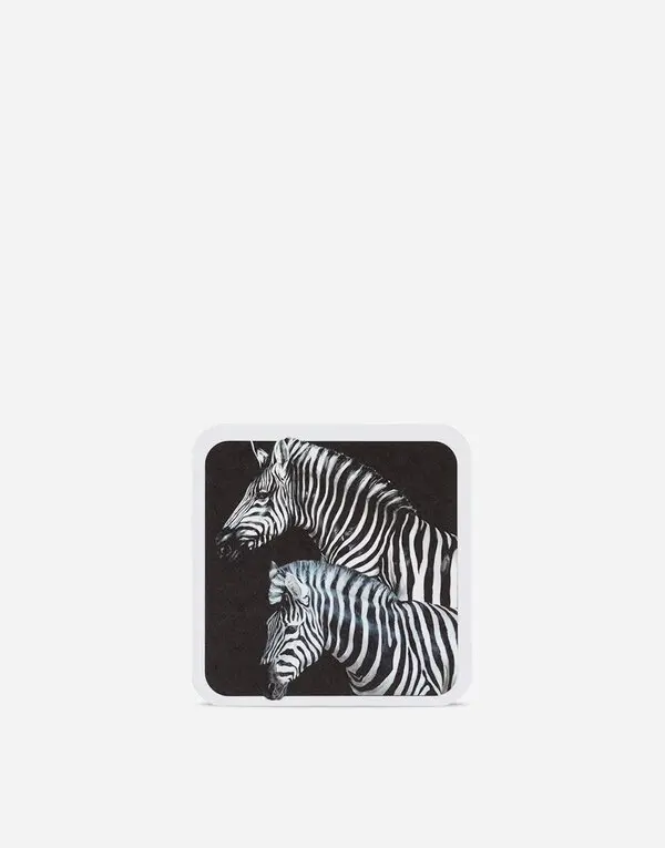 Dolce & Gabbana Set Of 12 Coasters - Multicolor