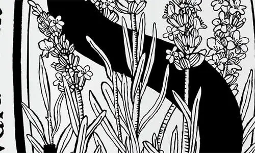 DIPTYQUE Softening Hand Wash Refill - No Color