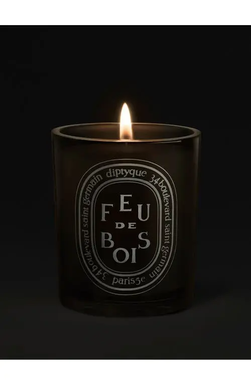 DIPTYQUE Feu De Bois Large Scented Candle - Grey Vessel
