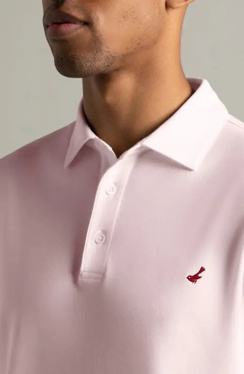 HYPERNATURAL El Capitán Classic Fit Supima® Cotton Blend Piqué Golf Polo