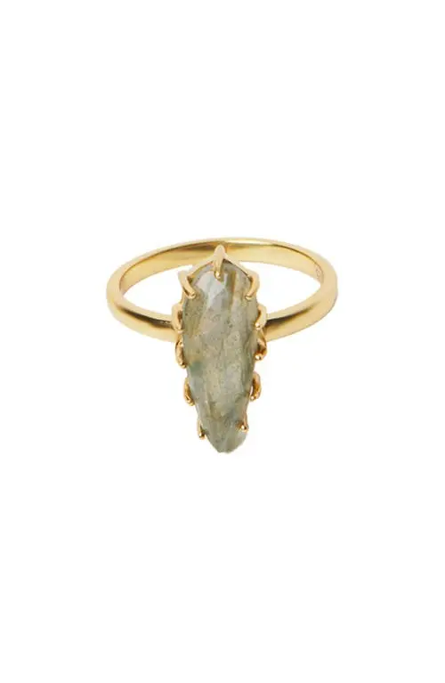 Argento Vivo Labradorite Ring - Gold