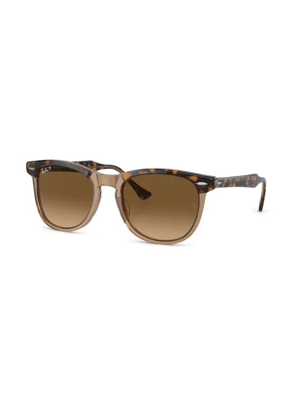 Ray-ban Tortoiseshell-effect Sunglasses