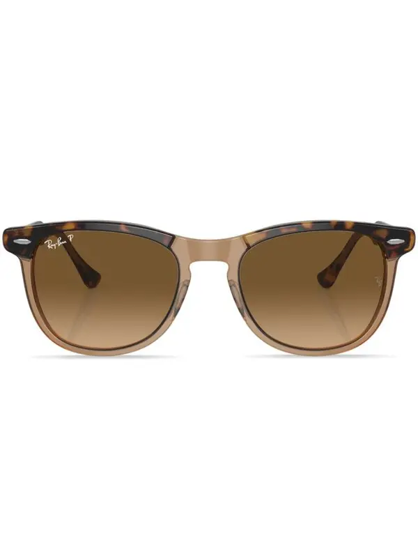 Ray-ban Tortoiseshell-effect Sunglasses - Green