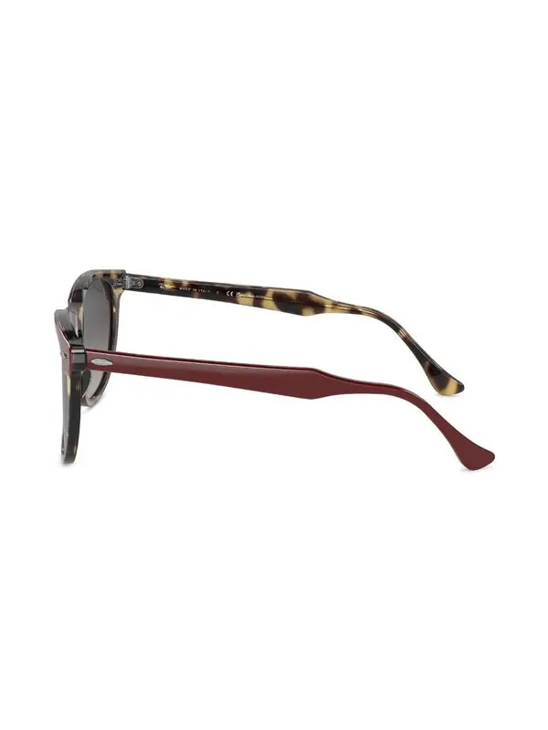 Ray-ban Eagle Eye Round-frame Sunglasses - Red