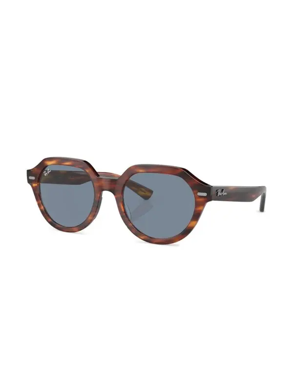 Ray-ban Round-frame Sunglasses - Brown