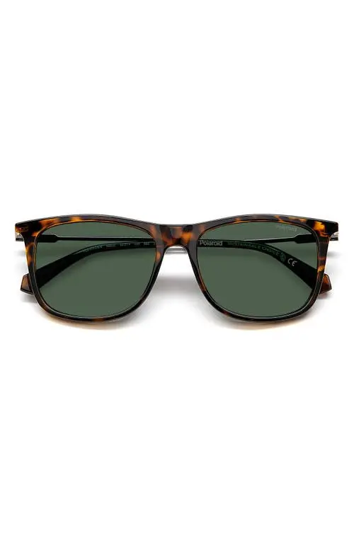 POLAROID 55mm Polarized Rectangular Sunglasses - Havana/green Polarized