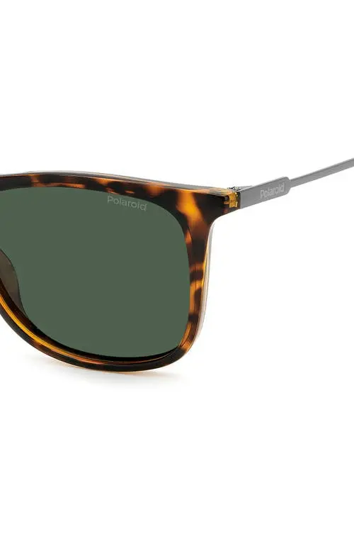 POLAROID 55mm Polarized Rectangular Sunglasses - Havana/green Polarized