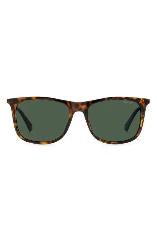 POLAROID 55mm Polarized Rectangular Sunglasses - Havana/green Polarized