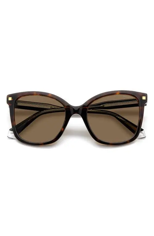 POLAROID 53mm Polarized Square Sunglasses - Havana/bronze Polar