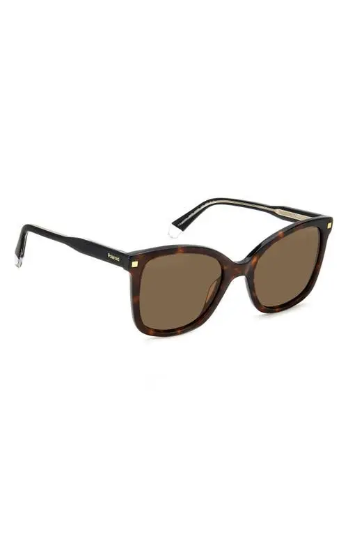POLAROID 53mm Polarized Square Sunglasses - Havana/bronze Polar