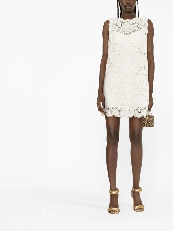 Dolce & Gabbana Mini Sleeveless Lace Dress - Neutrals