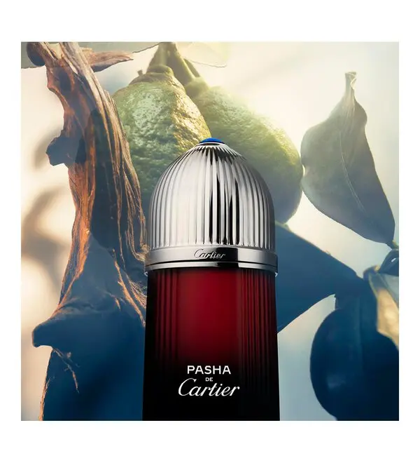 Cartier Pasha Edition Noire Sport Spray