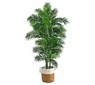 NEARLY NATURAL 6' Curvy Parlor Artificial Palm N Planter - One-color